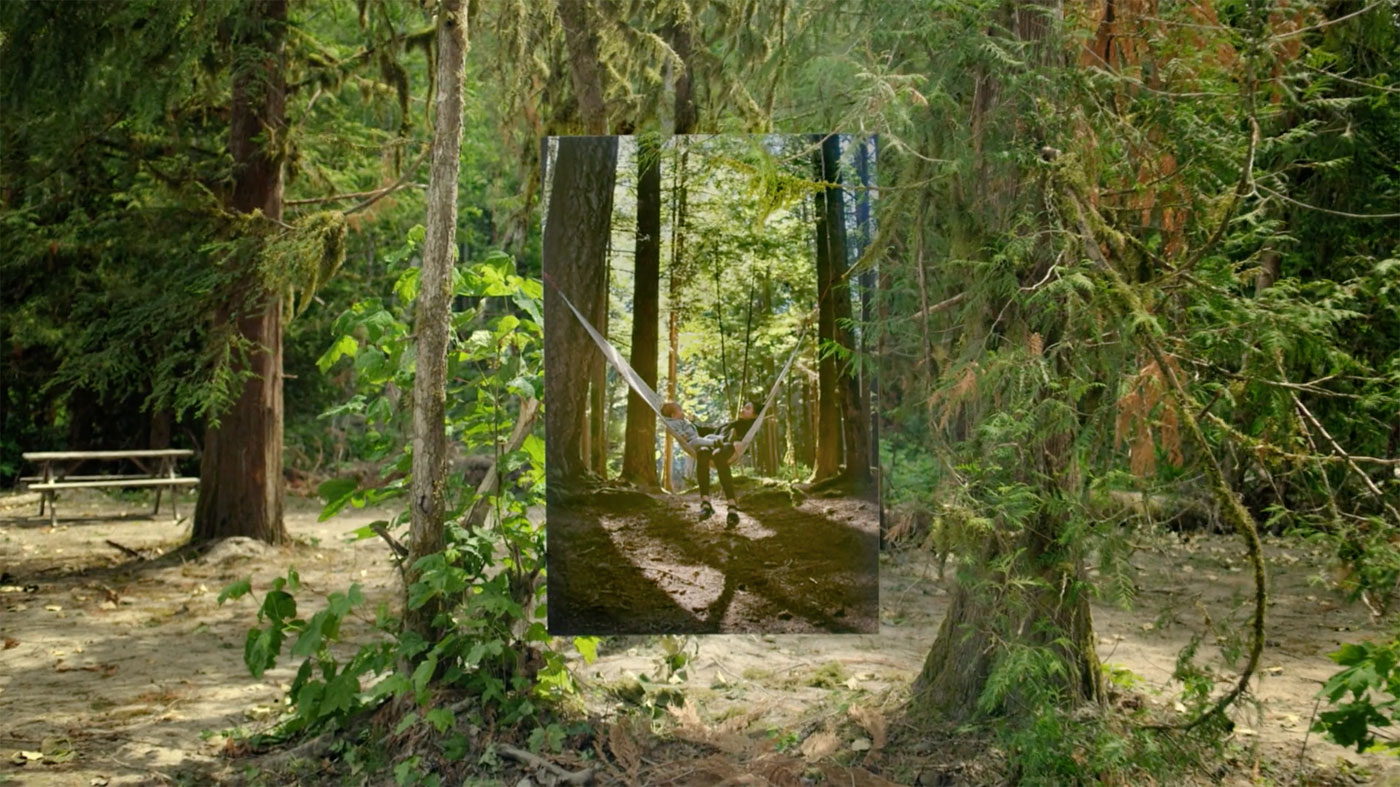 Wildfires Destroy More Than Forests | Glossy