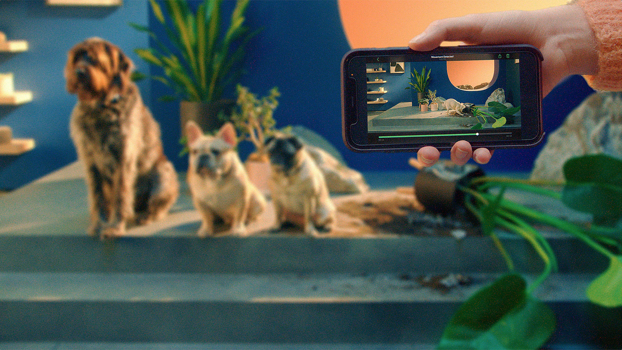 FCB/SIX Launches a New Journey-Led Campaign For Ecobee | Glossy